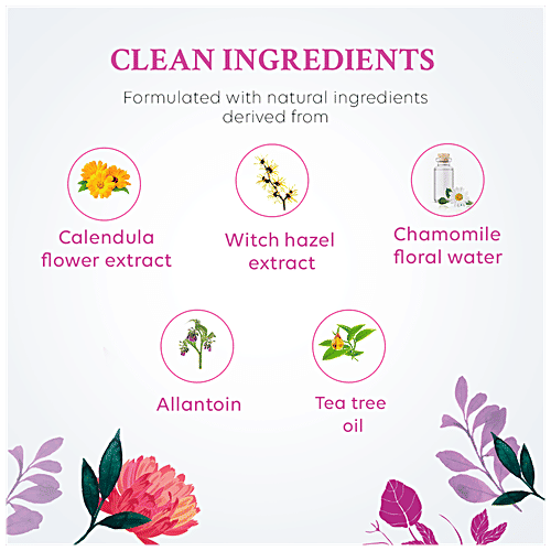 Buy LAIQA Intimate Foaming Wash + Panty Liners Online at Best Price of ...