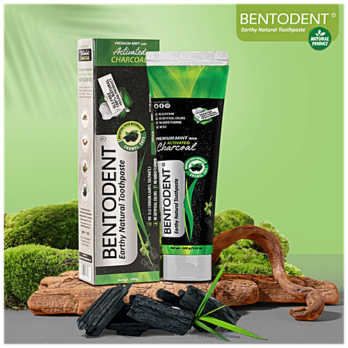 Buy Bentodent Earthy Natural Toothpaste With Bamboo Tooth Brush - Mint ...