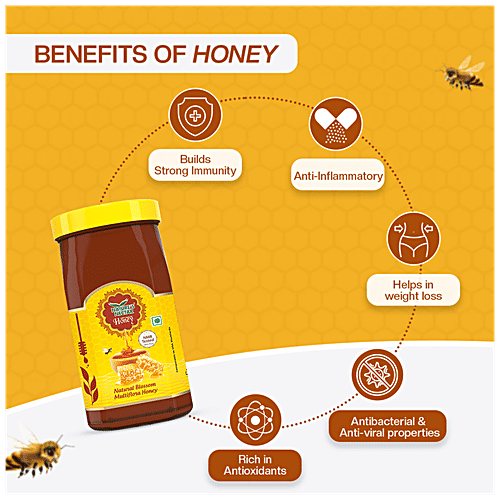 Buy Nature's Nectar 100% Pure Honey - NMR Tested, Natural Multiflora ...