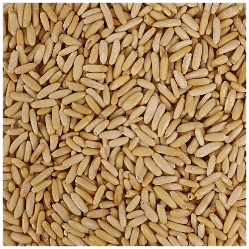 Buy Sindhi Dry Fruits Chilgoza Giri/Pine Nuts - Without Shell, Crunchy, Improves Eye Health ...