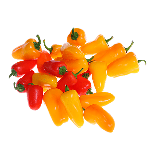 Buy fresho! Snibs Peppers Pack Online at Best Price of Rs 85 - bigbasket
