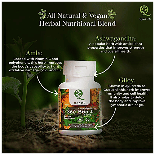 Buy Qaadu 360 Boost - Multivitamin Supplements, Natural & Herbal ...