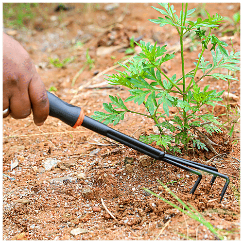Buy NATURES PLUS Garden Cultivator 3 Teeth - Sturdy Handle, Comfortable ...