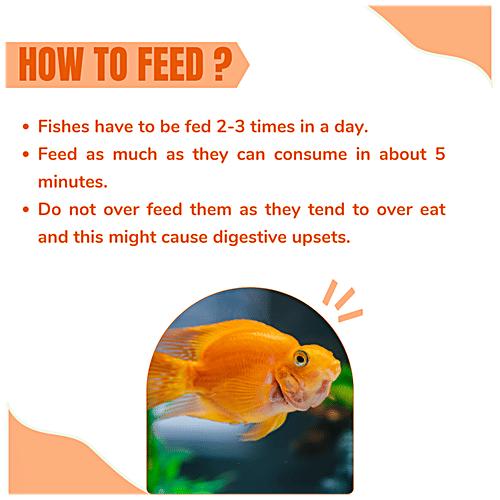 Buy Taiyo Pluss Discovery Special Fish Food For All Tropical Breeds ...