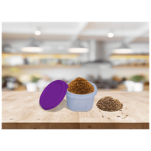 Buy Princeware Easy Store Round Package Container - Plastic, Leakproof ...