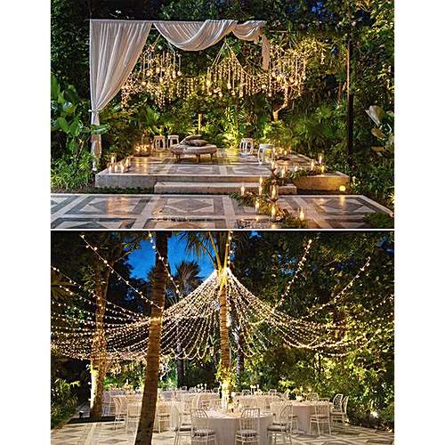 Buy Desidiya Pixel Rice Light - 40 Ft, Warm White/Yellow, Energy ...