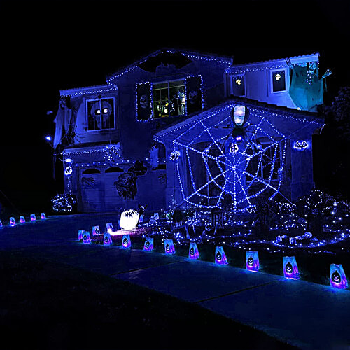 Buy Desidiya Pixel Rice Light - 40 Ft, Blue, Energy Efficient, For Home ...