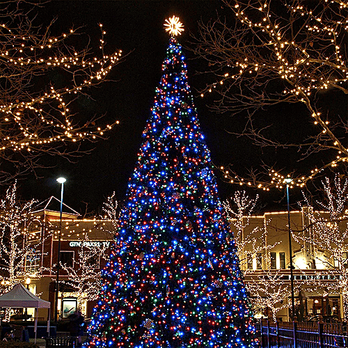 Buy Desidiya Rice LED Light With Adapter 45 M Energy Efficient - For ...