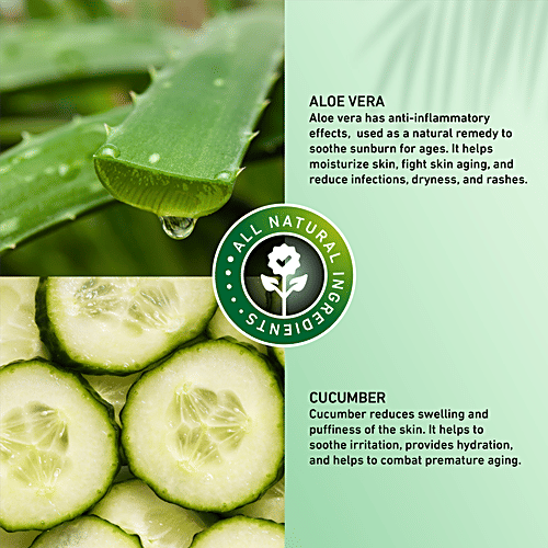 Buy Svish On The Go Intimate Hygiene Wipes For Women - Cucumber ...