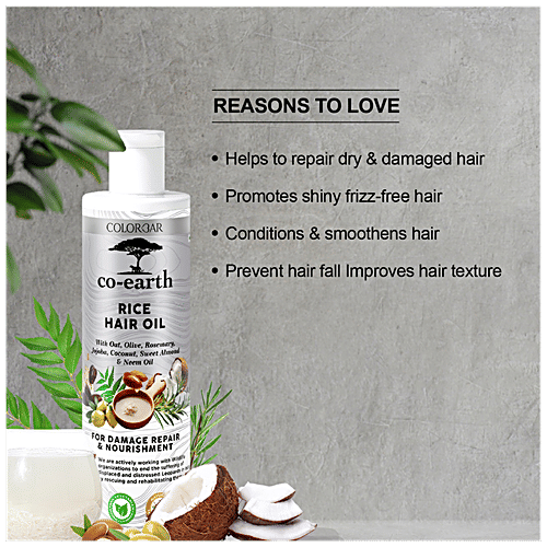 Buy ColorBar Co-Earth Rice Hair Oil - For Damage Repair & Nourishment ...