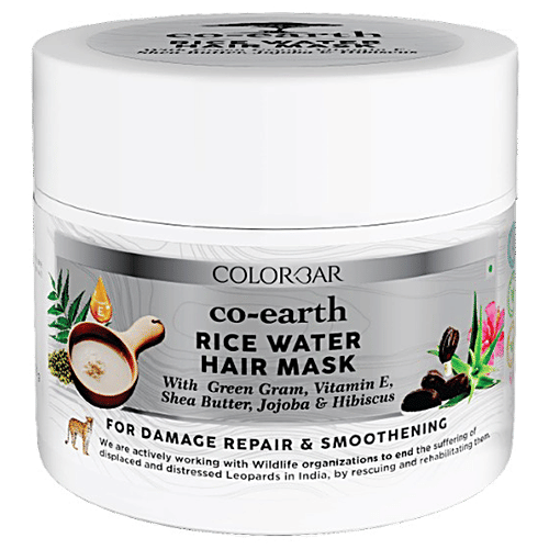 Buy ColorBar Co-Earth Rice Water Hair Mask - For Damage Repair ...