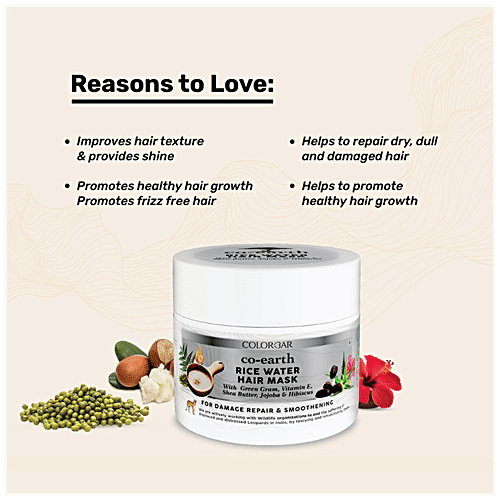 Buy ColorBar Co-Earth Rice Water Hair Mask - For Damage Repair ...