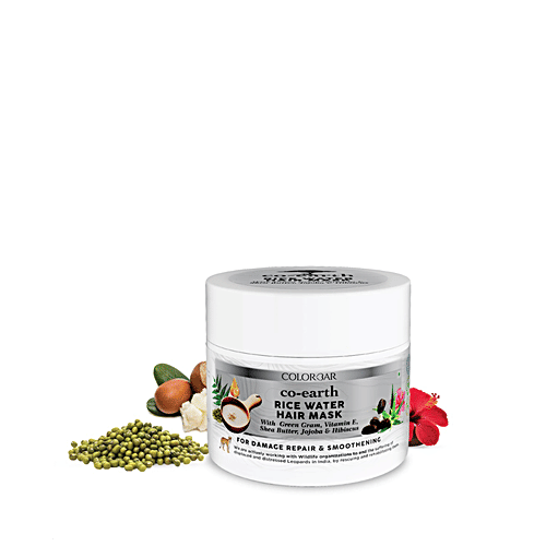 Buy ColorBar Co-Earth Rice Water Hair Mask - For Damage Repair ...