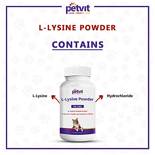 Buy Petvit L-Lysine Powder - For Cats, Supports Immune System, Healthy ...