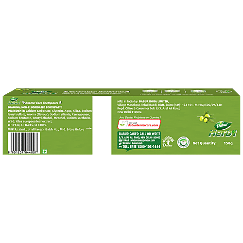 Buy Dabur Herbal Enamel Care Toothpaste - Olive, Longlasting Freshness ...