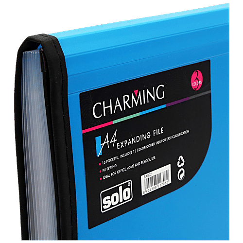 Buy Solo Expanding File - Platic, 13 Pockets With 12 Colour Coded Tabs ...