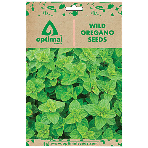 Buy Optimal Seeds Wild Oregano Herb Seeds Online at Best Price of Rs ...