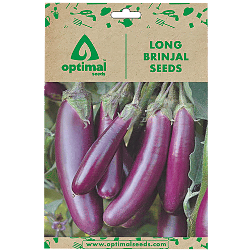 Buy Optimal Seeds Long Brinjal Vegetable Seeds Online at Best Price of ...