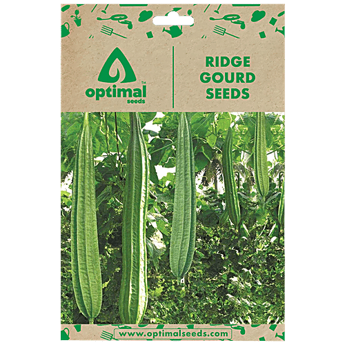 Buy Optimal Seeds Ridge Gourd Vegetable Seeds Online at Best Price of ...