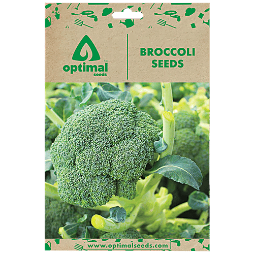 Buy Optimal Seeds Broccoli Vegetable Seeds Online at Best Price of Rs ...