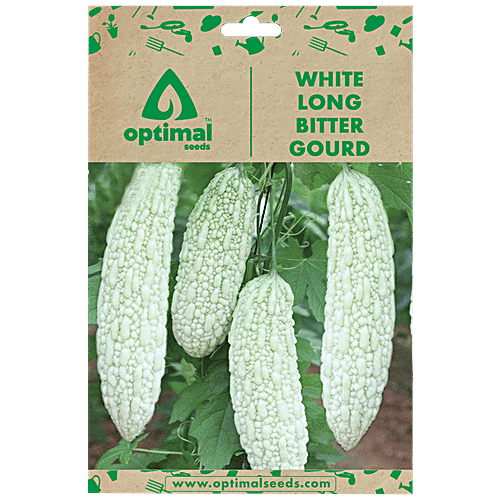 Buy Optimal Seeds White Long Bitter Gourd Vegetable Seeds Online at ...