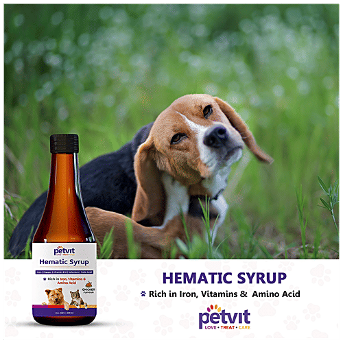 Buy Petvit Hematic Syrup - Rich In Iron & Vitamins, For Cats & Dogs ...