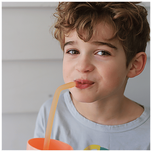 Buy BBOX Silicone Straw Travel Set - Reusable, Assorted Colour, Travel ...