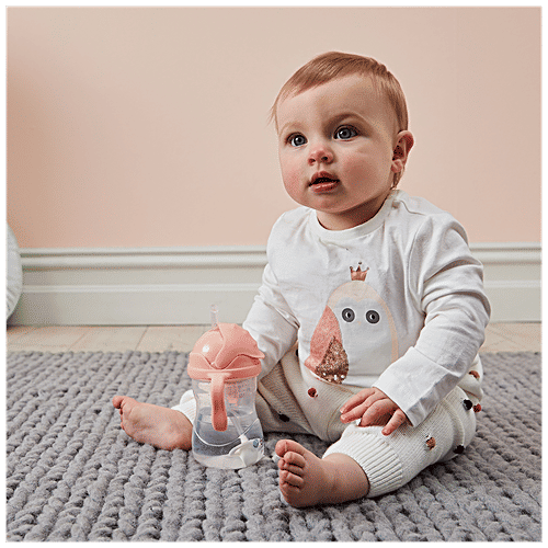 Buy BBOX Weighted Straw Sippy Cup - Tutti Fruiti Light Pink Online at ...