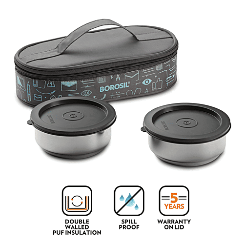 Buy Borosil Carry Fresh Stainless Steel Lunch Box With Carry Bag - Leak ...