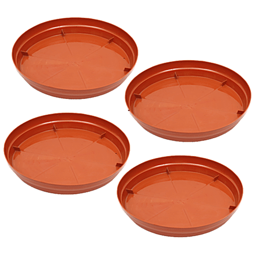 Buy NATURES PLUS Planter Tray 10 - Plastic, Brown, Round, Durable ...