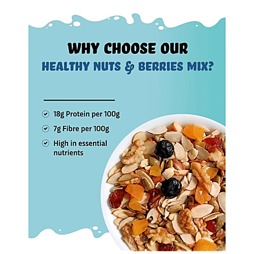 Buy True Elements Healthy Nuts & Berries Mix - Premium Dry Fruits ...