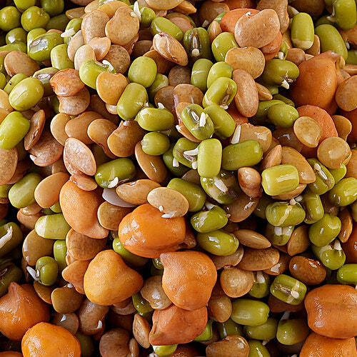 Buy Fresho Organic Sprouts Mixed Gram Online at Best Price of Rs 27 ...