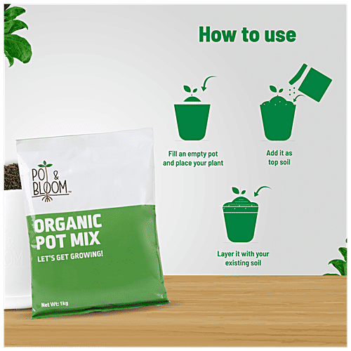 Buy Pot & Bloom Organic Pot Mix - Nutrient-Rich Online at Best Price of ...