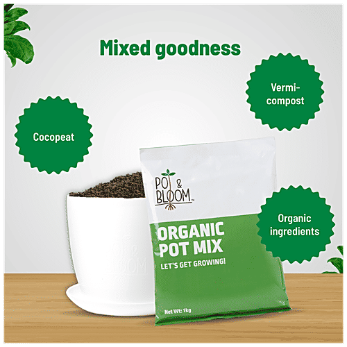 Buy Pot & Bloom Organic Pot Mix - Nutrient-Rich Online at Best Price of ...
