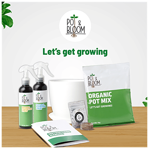 Buy Pot & Bloom Organic Pot Mix - Nutrient-Rich Online at Best Price of ...