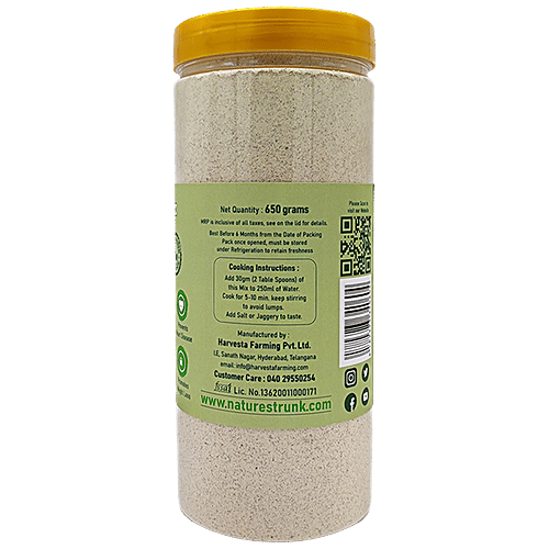 Buy Nature's Trunk Healthy 24 Gruel Mix Powder Protein Rich Blend Of ...