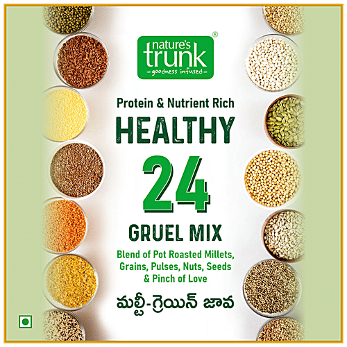 Buy Nature's Trunk Healthy 24 Gruel Mix Powder Protein Rich Blend Of ...