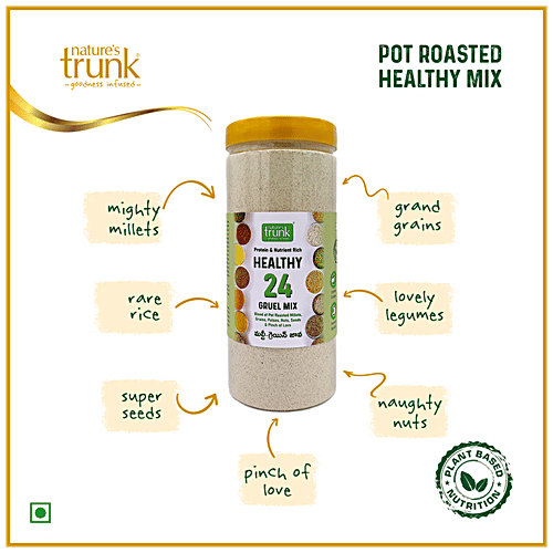 Buy Nature's Trunk Healthy 24 Gruel Mix Powder Protein Rich Blend Of ...