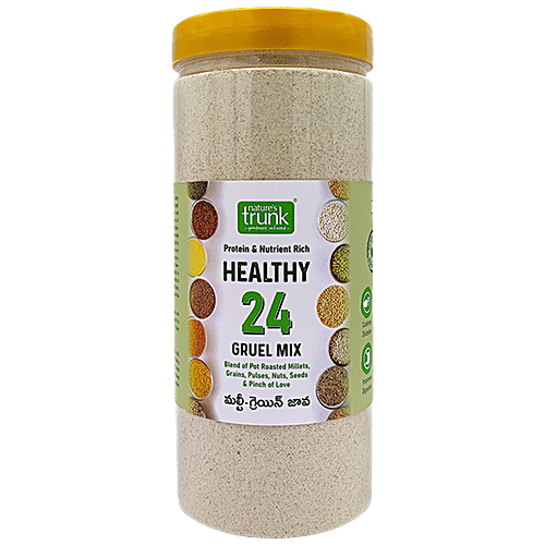 Buy Nature's Trunk Healthy 24 Gruel Mix Powder Protein Rich Blend Of ...