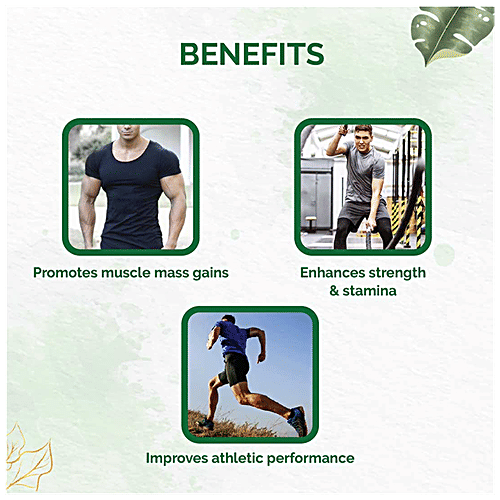 Buy Dr.Vaidya's Herbobuild DS Tablet - For Muscle Mass Online at Best ...