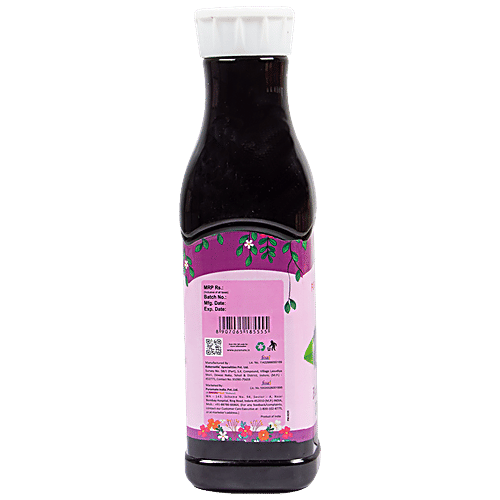 Buy Puramate Blueberry Crush For Perfect Drink - 100% Vegetarian Online ...