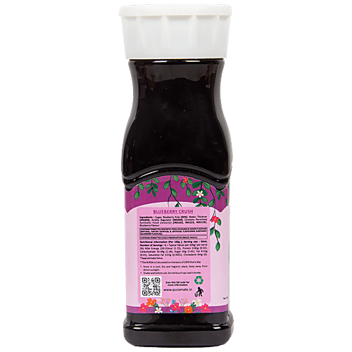 Buy Puramate Blueberry Crush For Perfect Drink - 100% Vegetarian Online ...