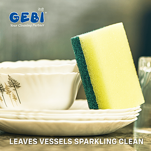 Buy Gebi Scrub - On Sponge Pad, Cream & Dark Green, High Quality Online ...