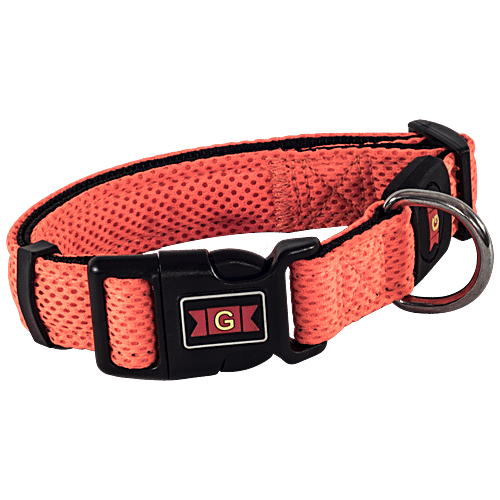 Buy GLENAND Mesh Collar Dca201 - S, Soft Nylon Cloth, Orange Online at ...