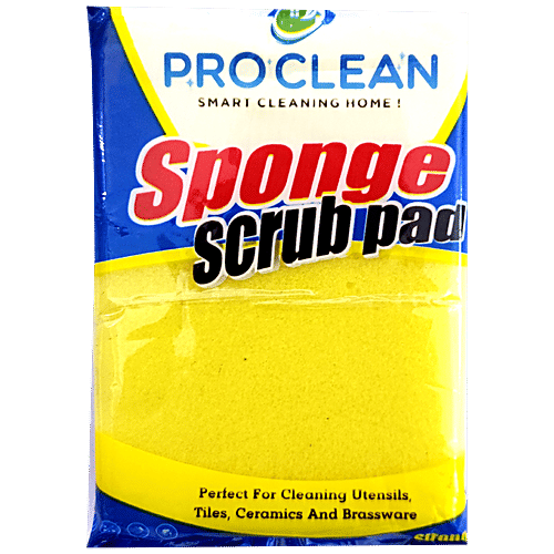 Buy Pro Clean Sponge Scrub Pad - High-Quality Material Online at Best ...