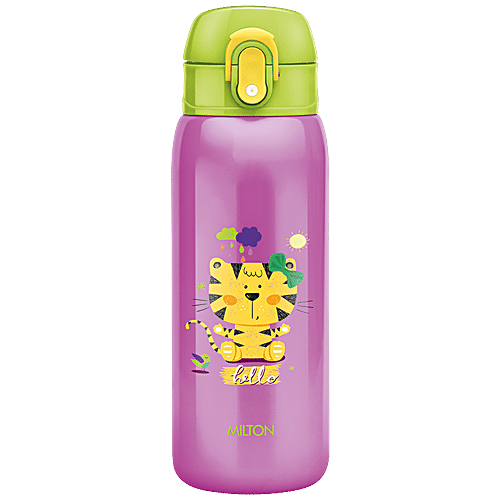 Buy Milton Jolly 475 Stainless Steel Insulated Water Bottle - Purple ...