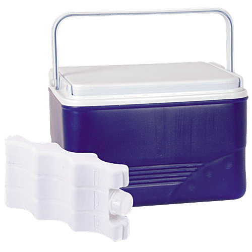 Buy Princeware Super Chiller Ice Box - Blue, Durable, Easy Handy Online ...