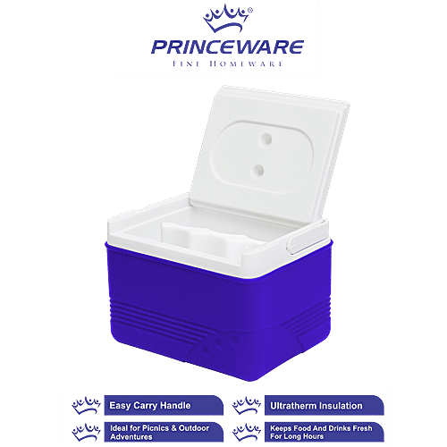 Buy Princeware Super Chiller Ice Box - Blue, Durable, Easy Handy Online ...