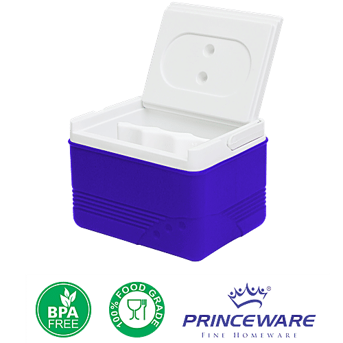 Buy Princeware Super Chiller Ice Box - Blue, Durable, Easy Handy Online ...
