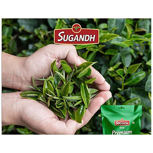 Buy SUGANDH Premium Tea - Rich In Taste & Aroma Online at Best Price of ...